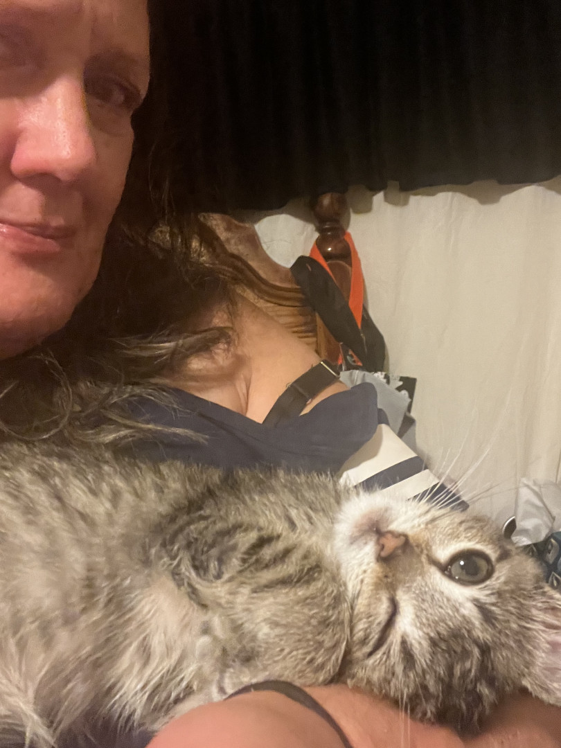 Baby | America's Favorite Pet