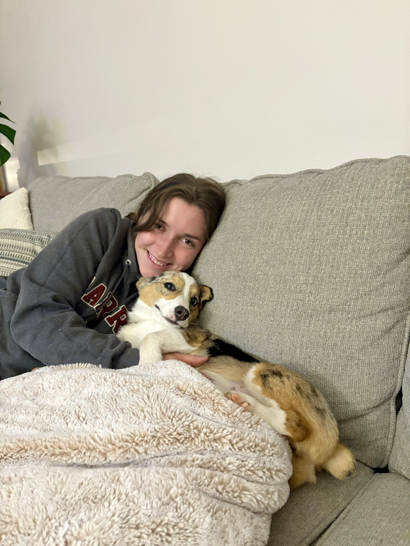 Lilo | America's Favorite Pet