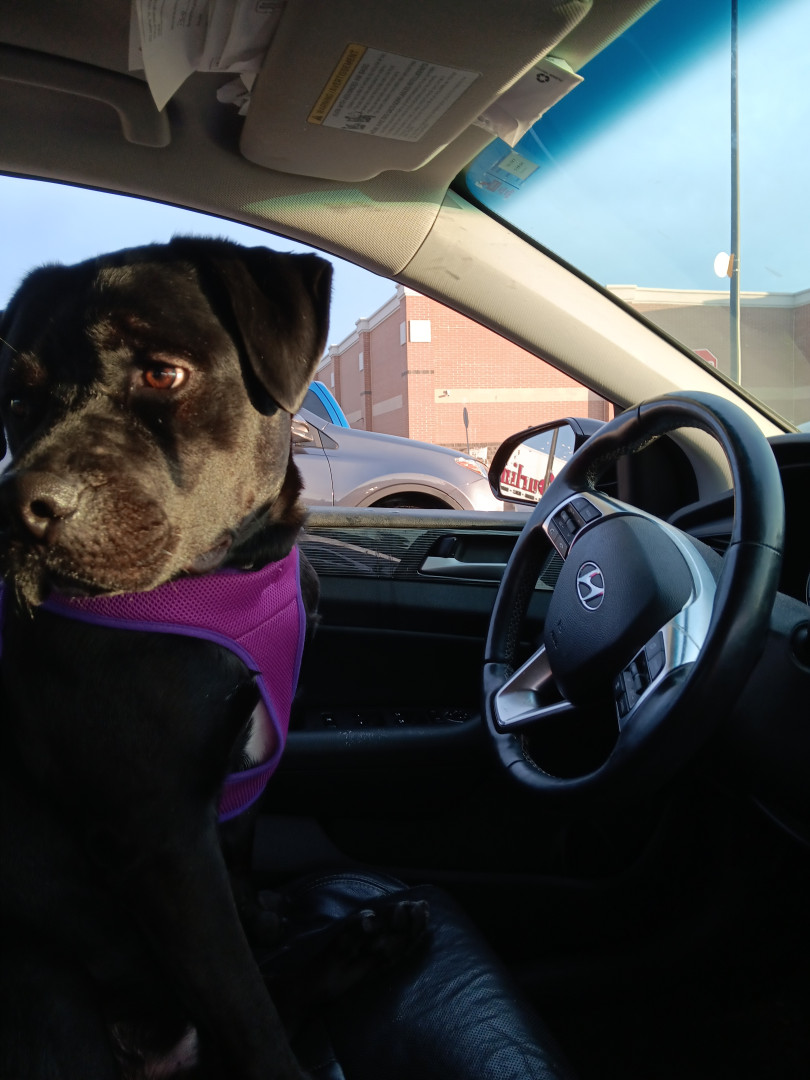 Zeus | America's Favorite Pet