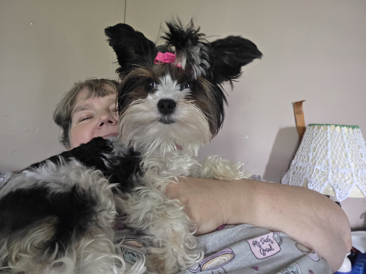 Dee Dee | America's Favorite Pet