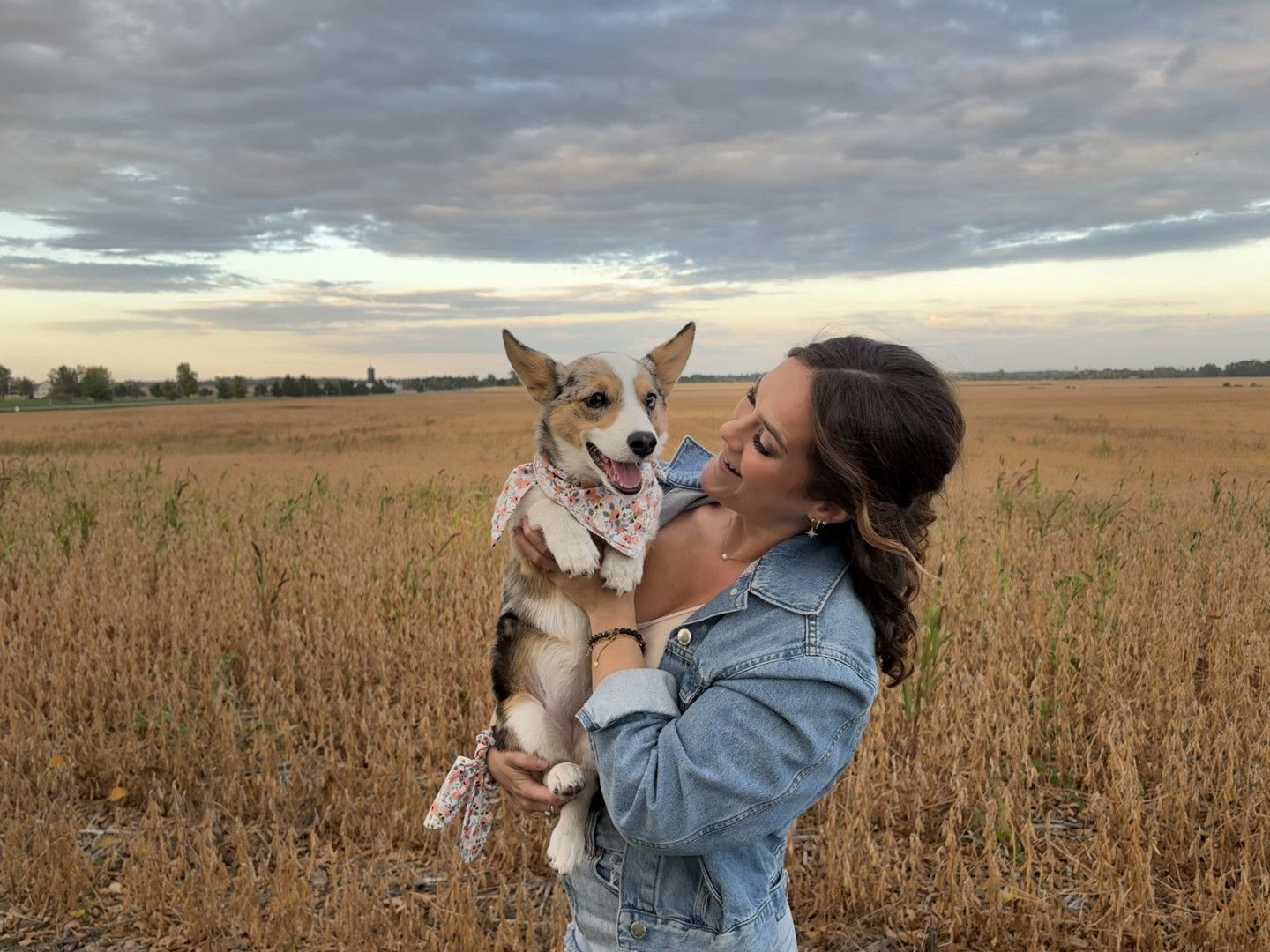 Lilo | America's Favorite Pet