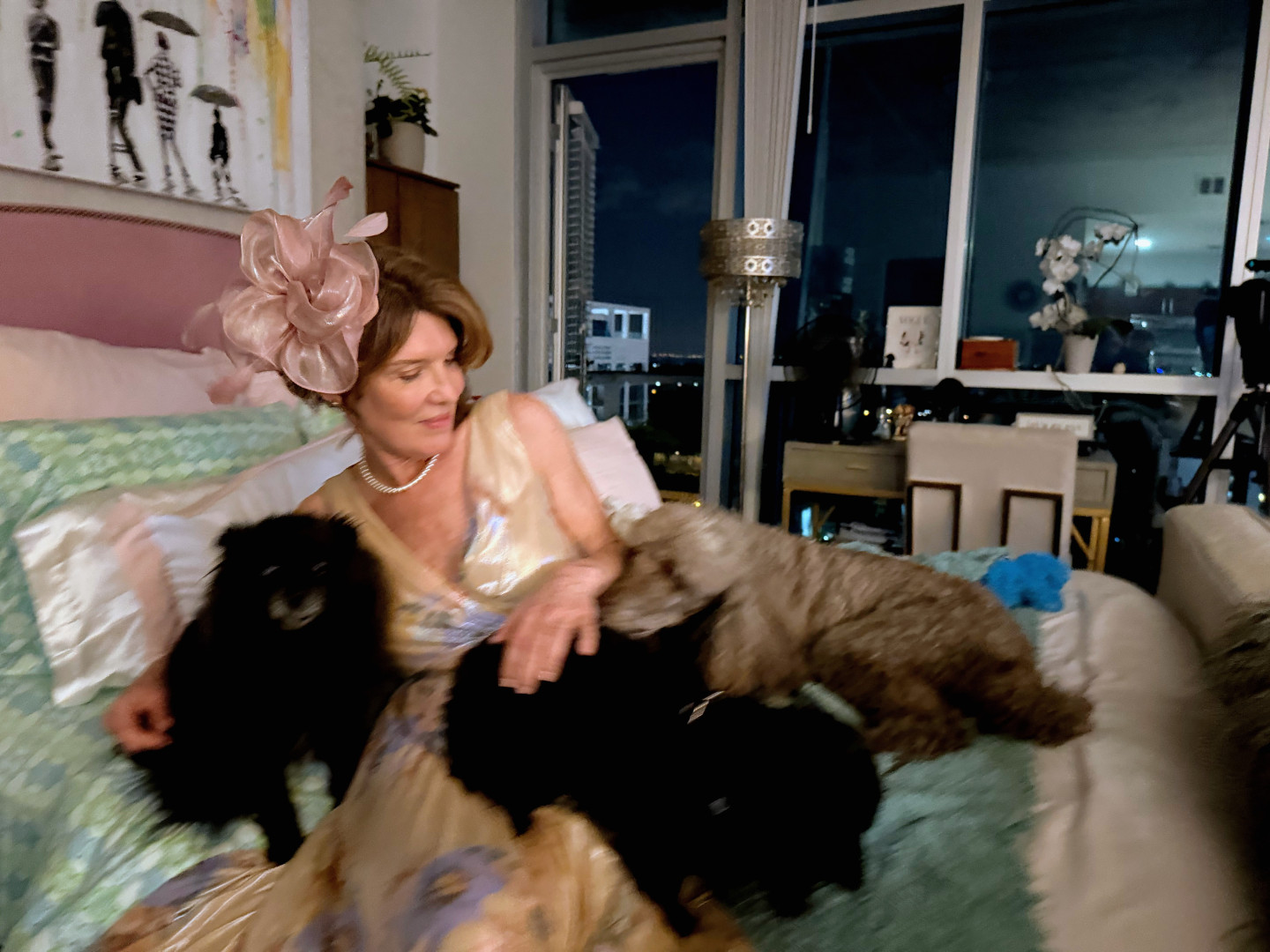 Coconut Princess "Coco" | America's Favorite Pet