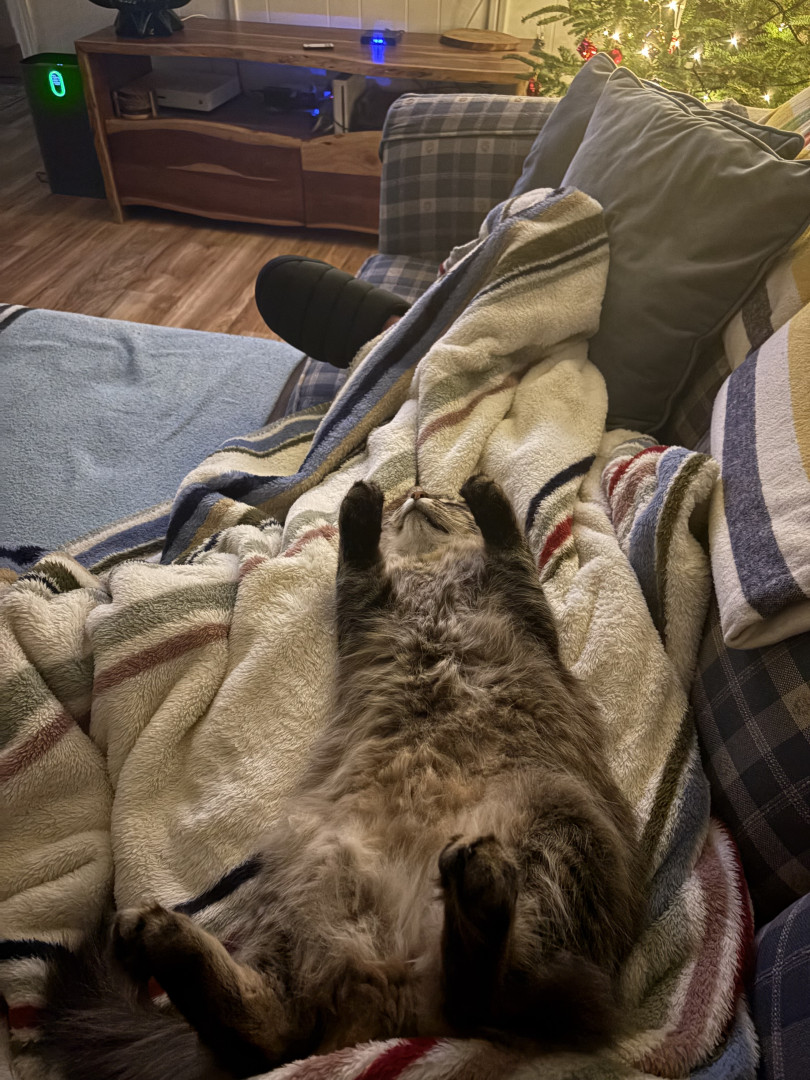 Willy Nelson | America's Favorite Pet