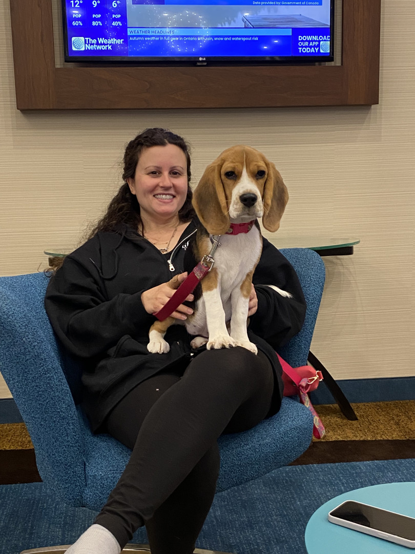 Lucy Emily | America's Favorite Pet