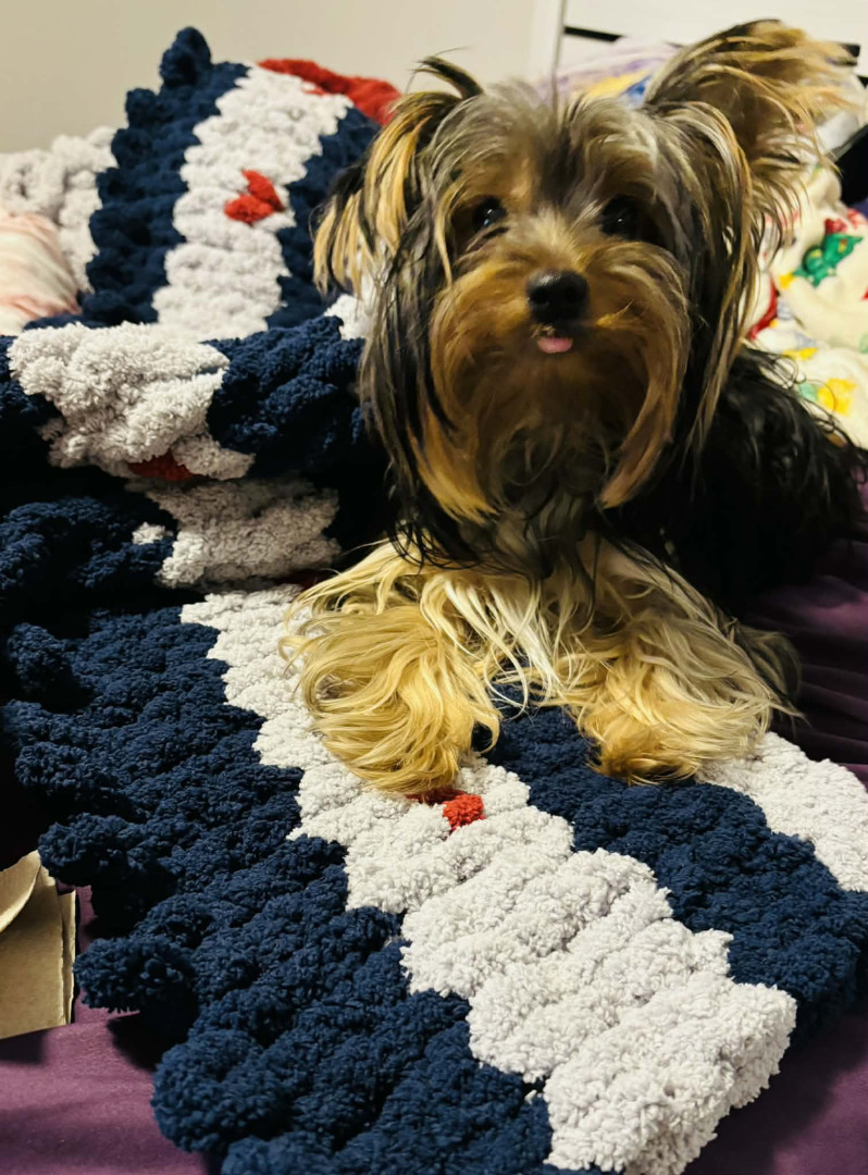 Nala | America's Favorite Pet