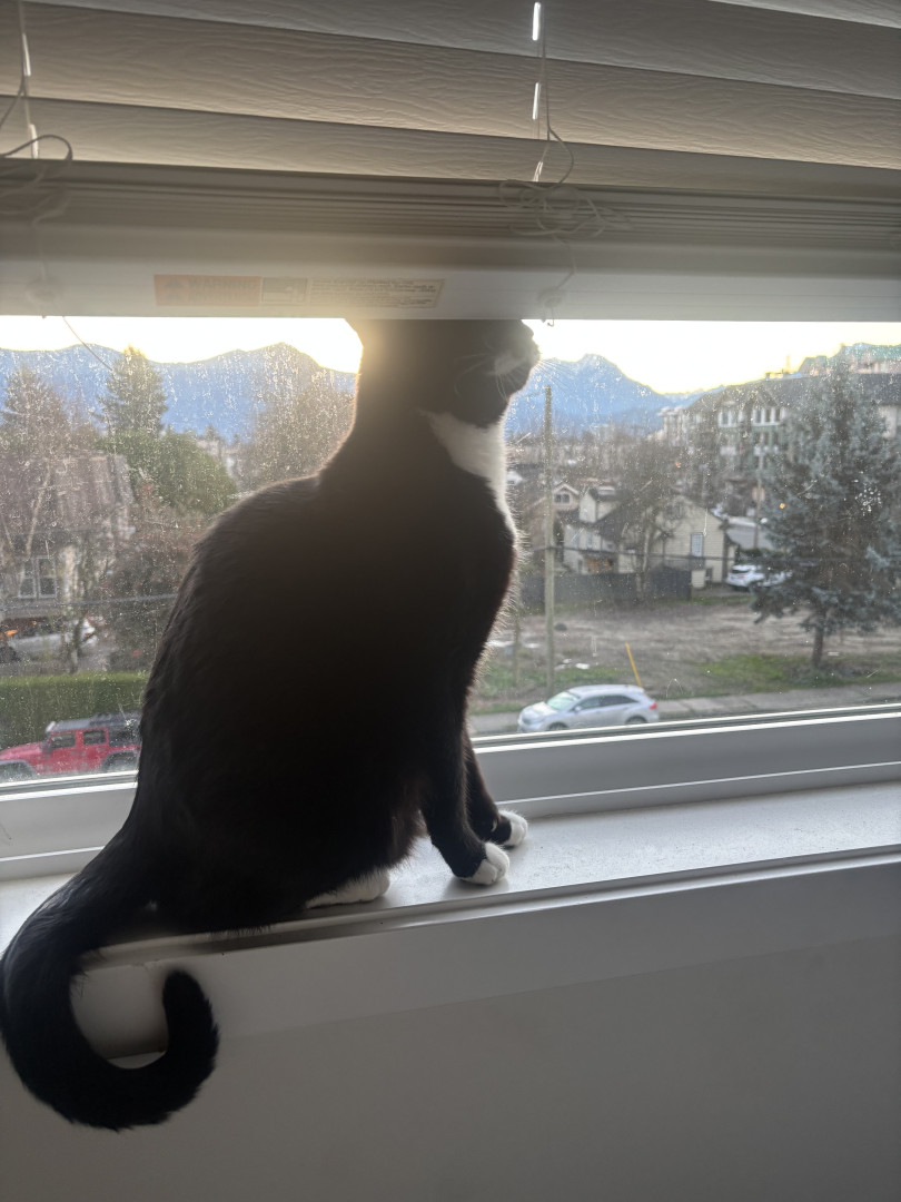 Tupac | America's Favorite Pet