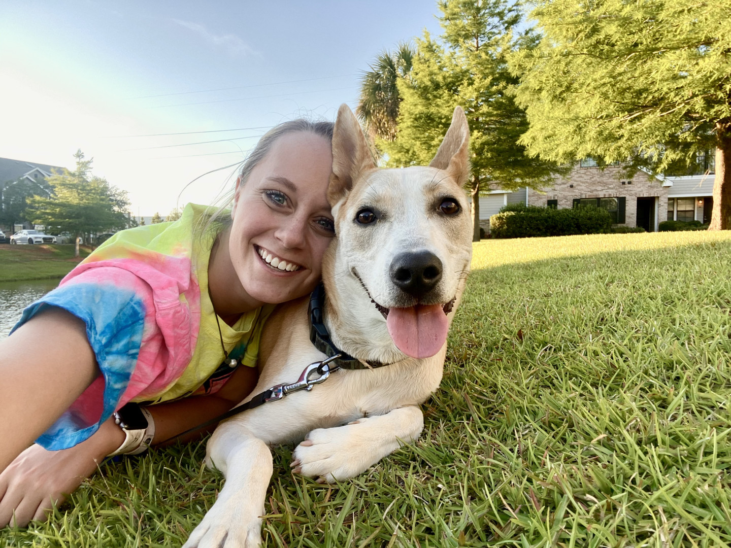 Murphy | America's Favorite Pet