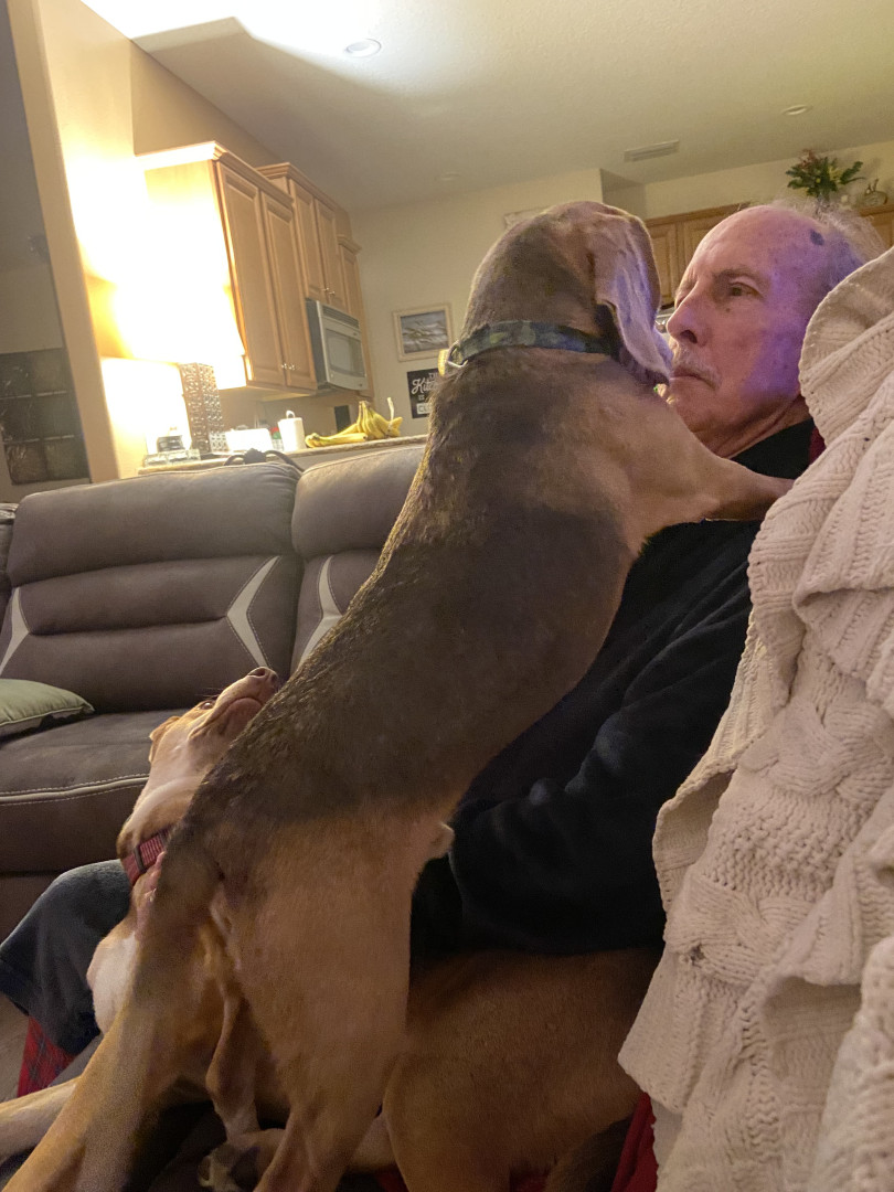 Mitch | America's Favorite Pet