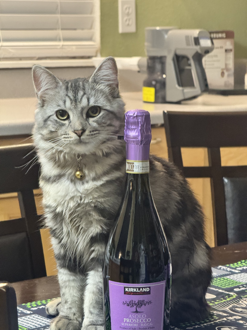 Benji | America's Favorite Pet