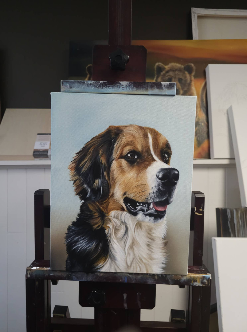 Gabi | America's Favorite Pet