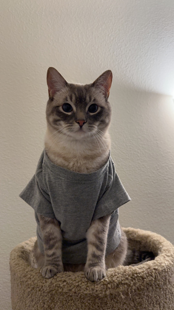 Adwardo Taz Michalik | America's Favorite Pet