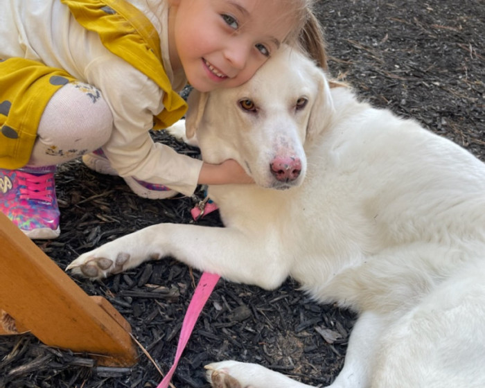 Elsa | America's Favorite Pet