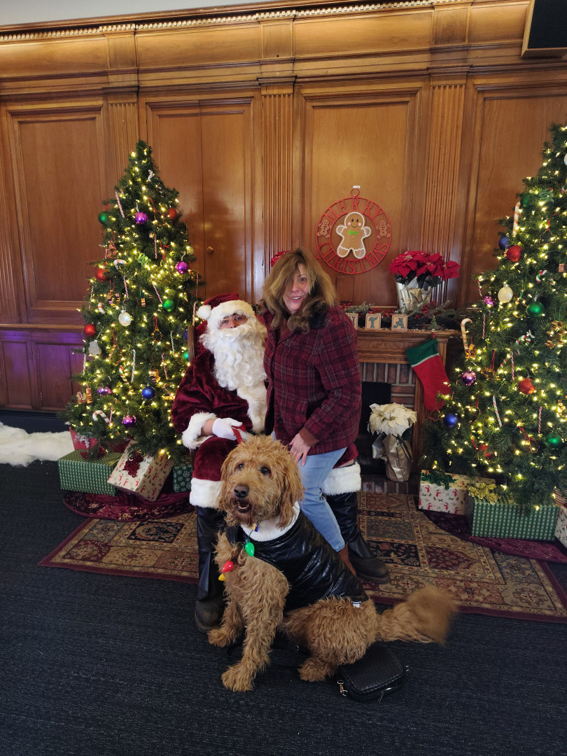 Mr Regis | America's Favorite Pet