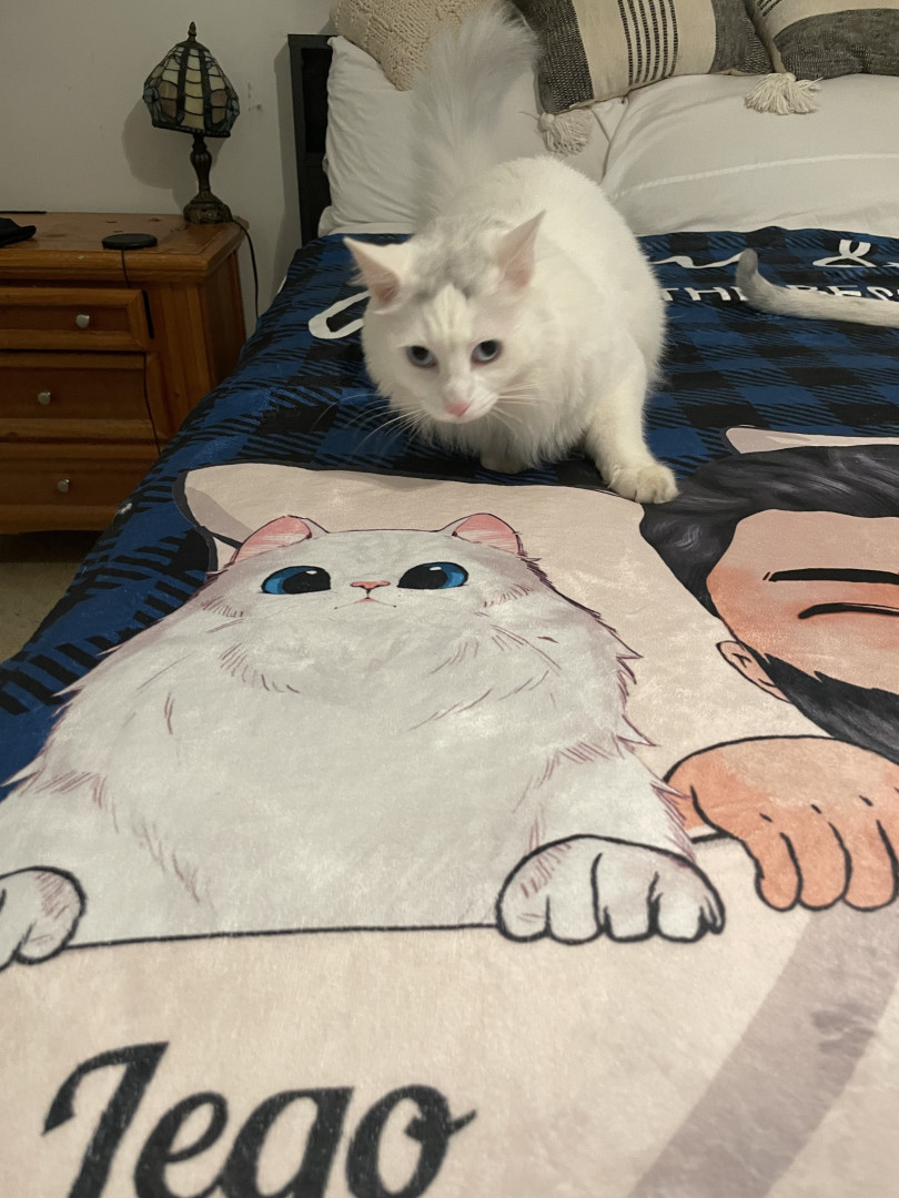 Lego | America's Favorite Pet