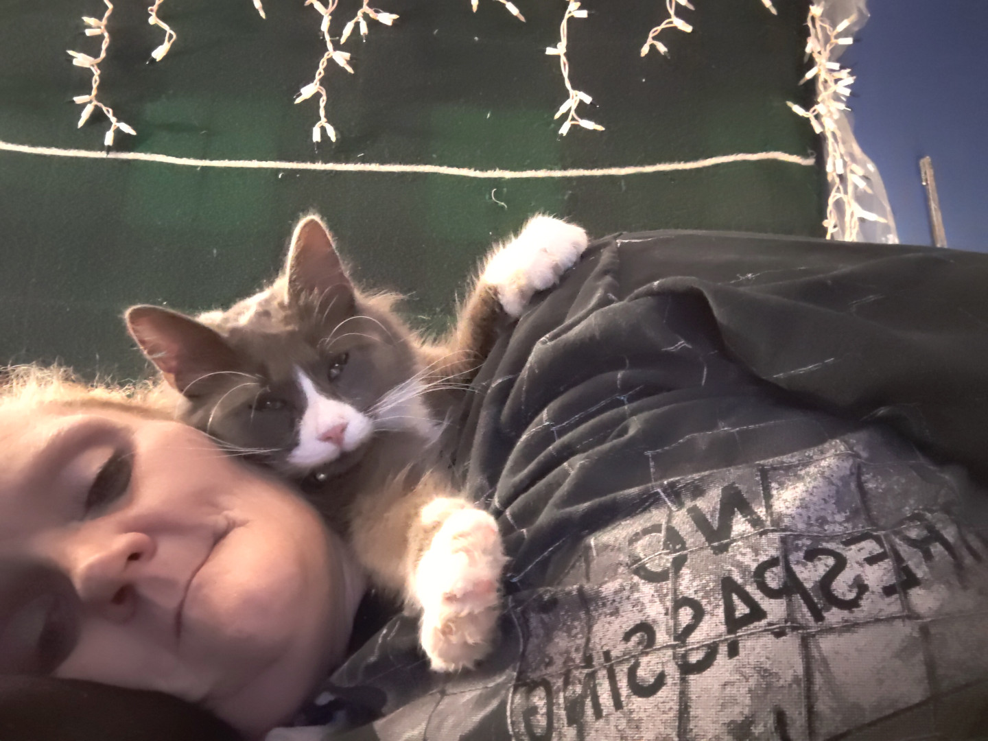 Cole | America's Favorite Pet