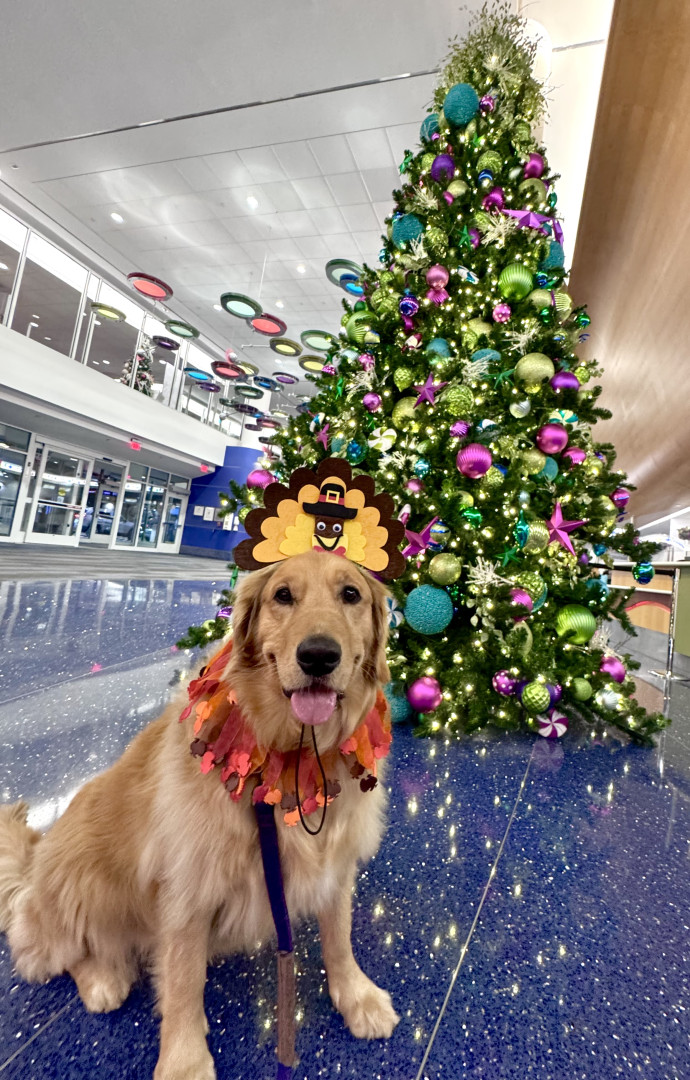 Oakley | America's Favorite Pet