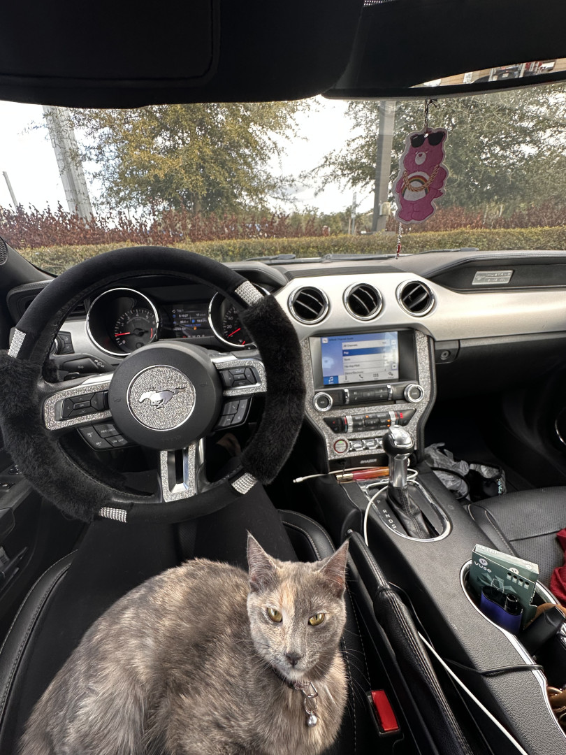 Lakoda | America's Favorite Pet