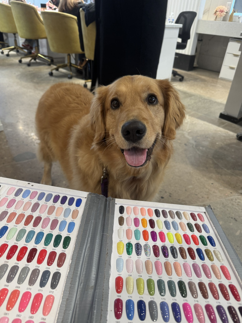 Oakley | America's Favorite Pet