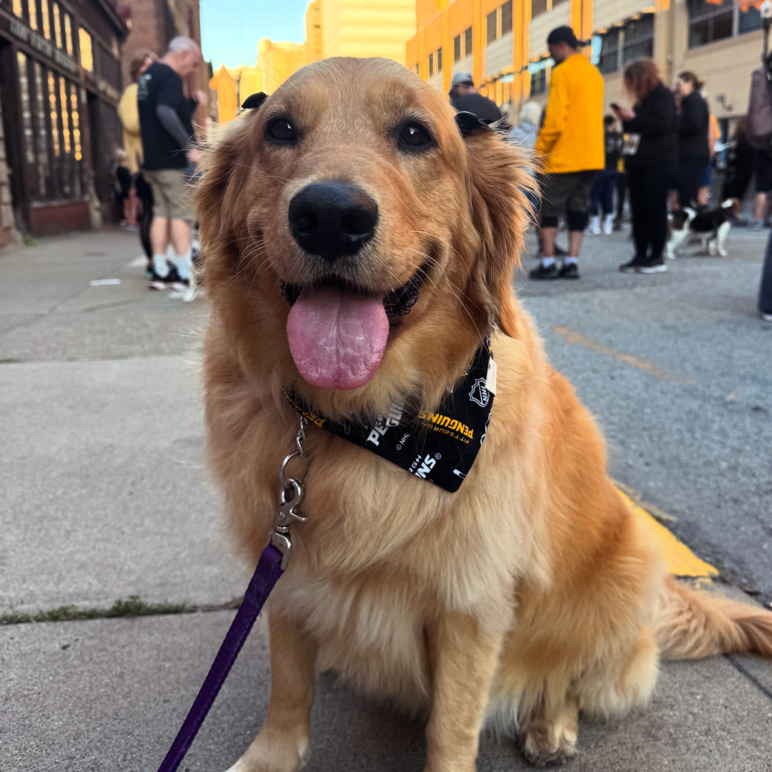 Oakley | America's Favorite Pet