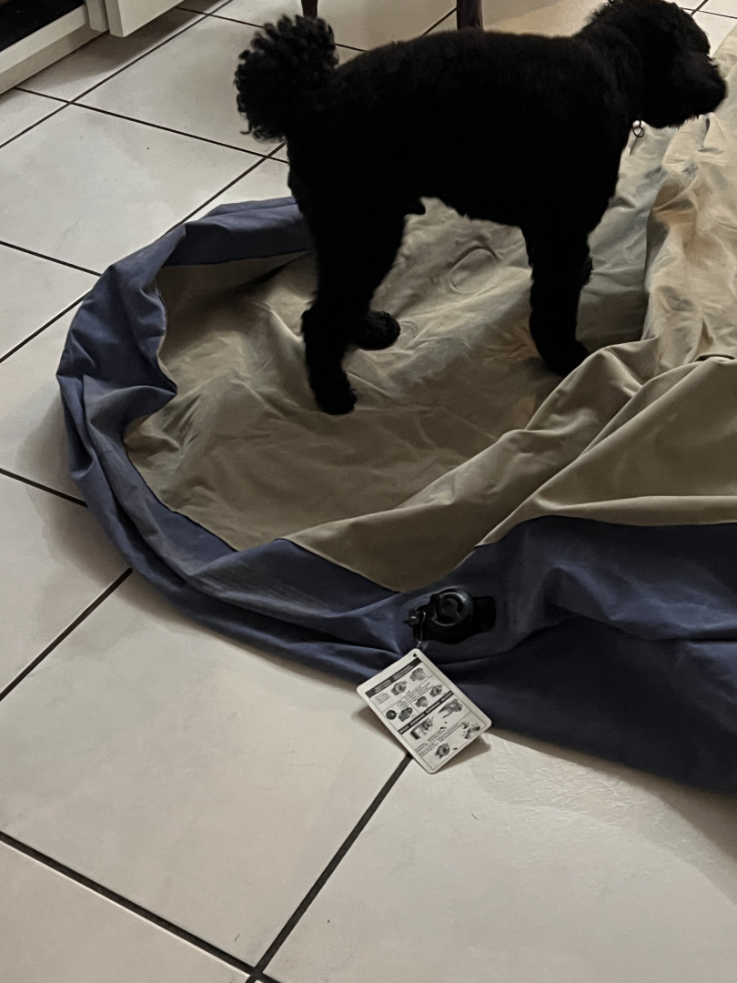 Dries | America's Favorite Pet