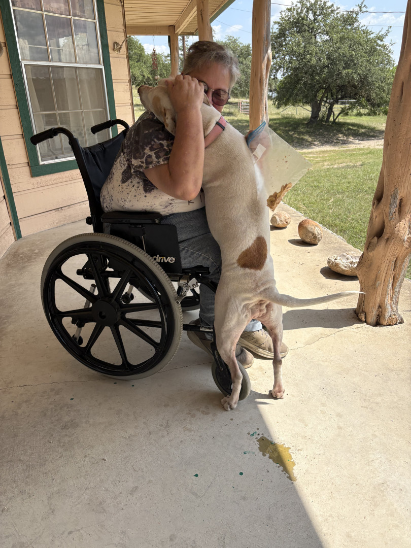 Chyna | America's Favorite Pet