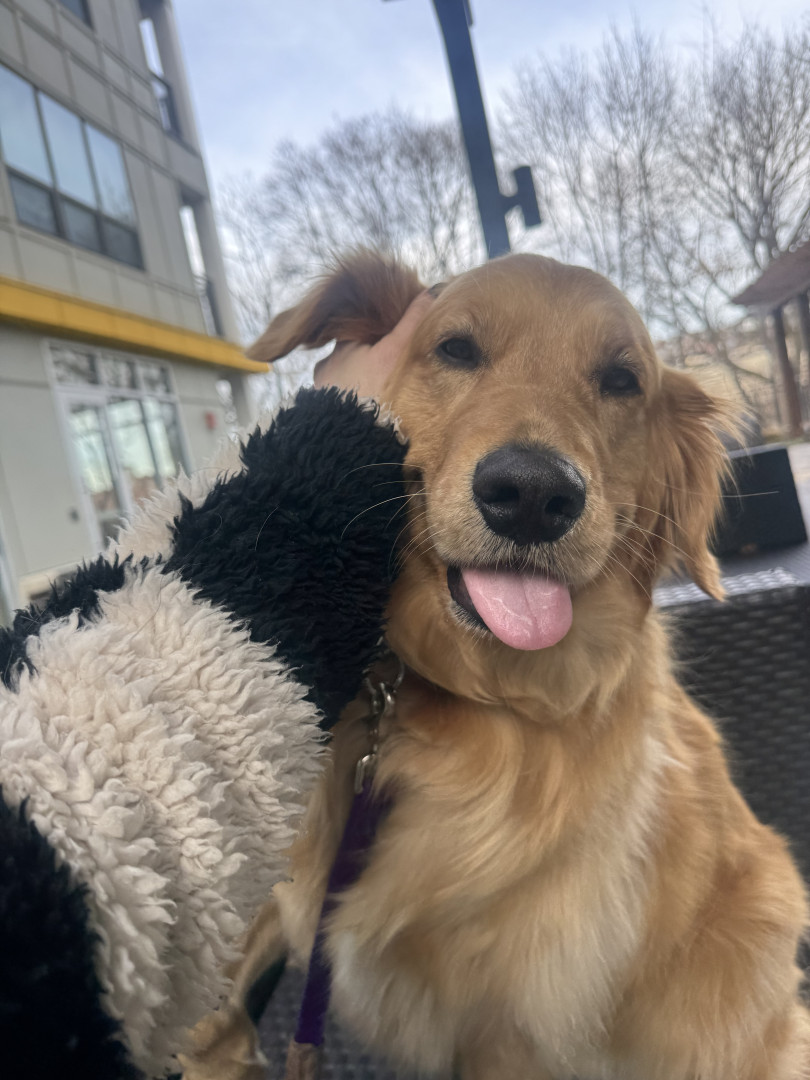Oakley | America's Favorite Pet