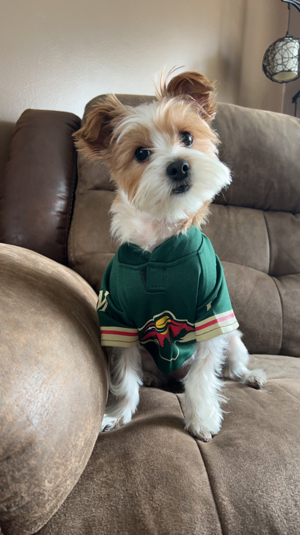 Mable | America's Favorite Pet