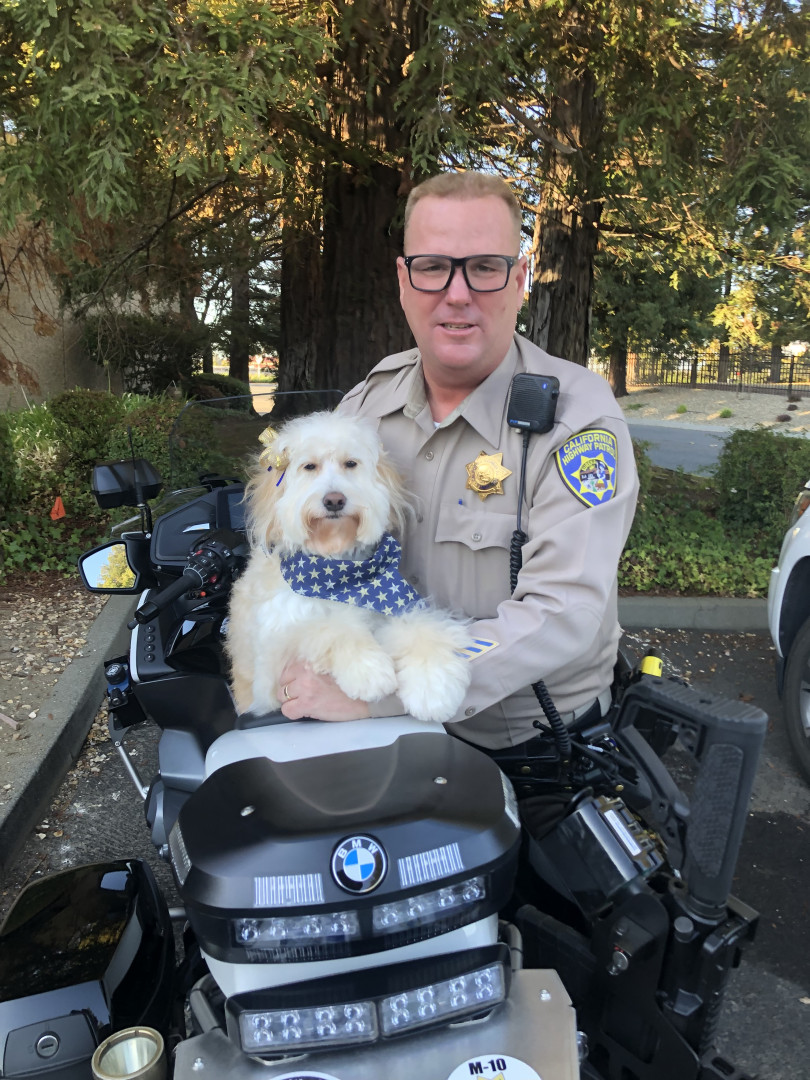 Molly-Boo | America's Favorite Pet