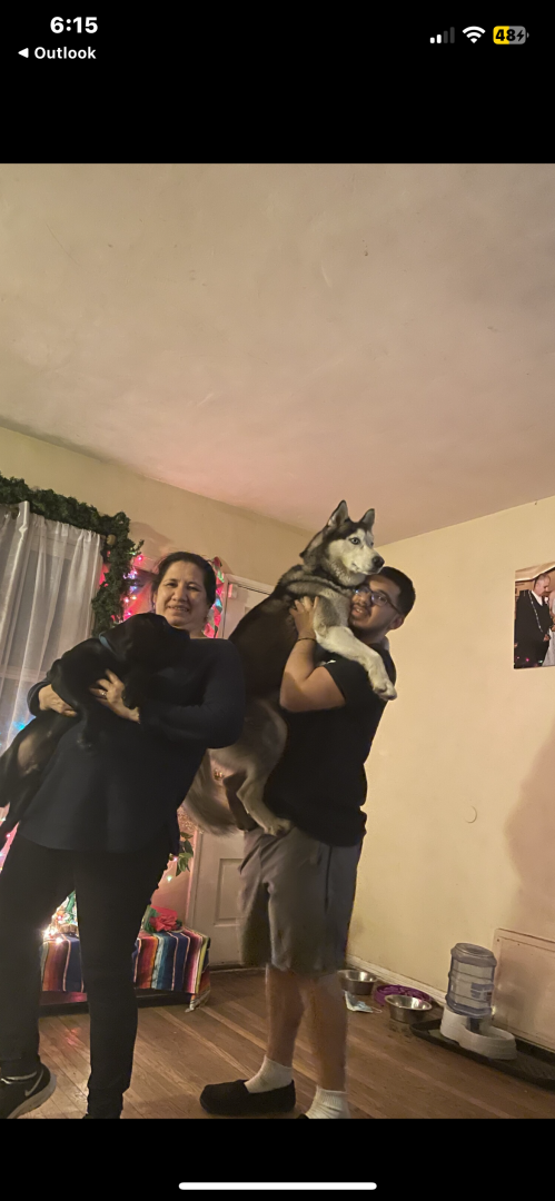 Blue | America's Favorite Pet