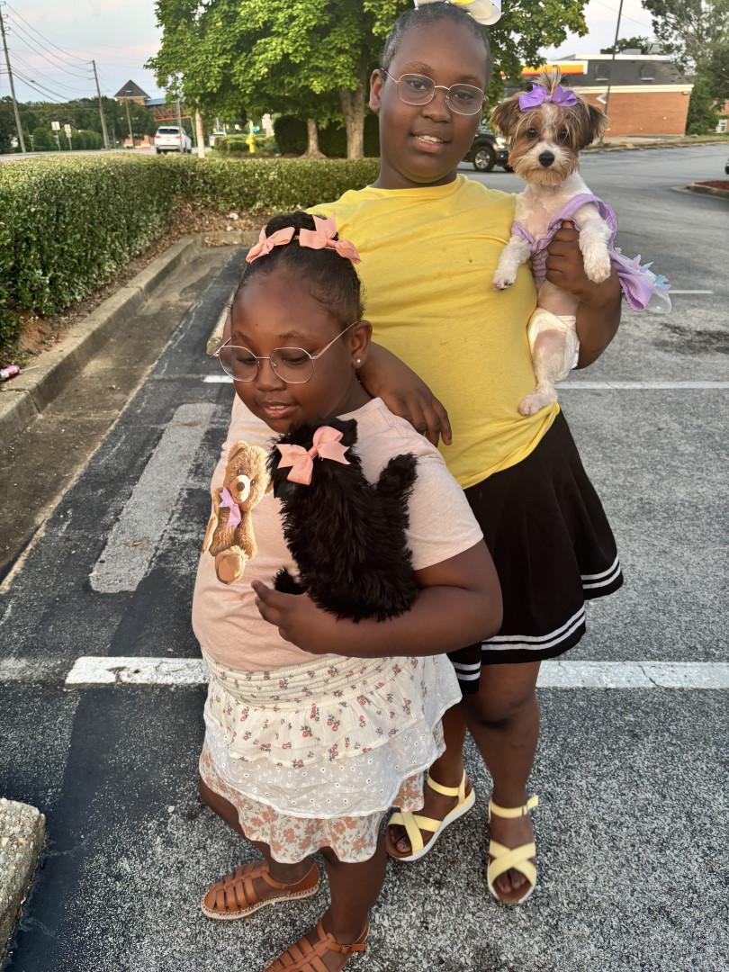 Priscilla | America's Favorite Pet