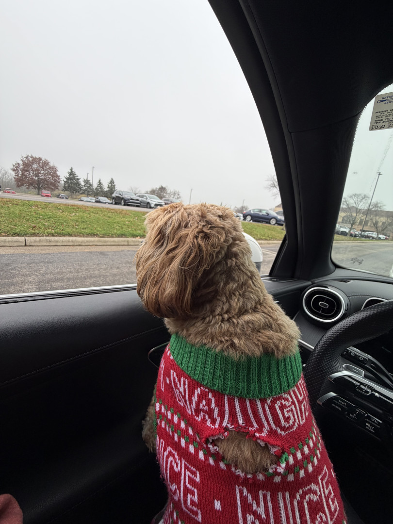 Hopper | America's Favorite Pet