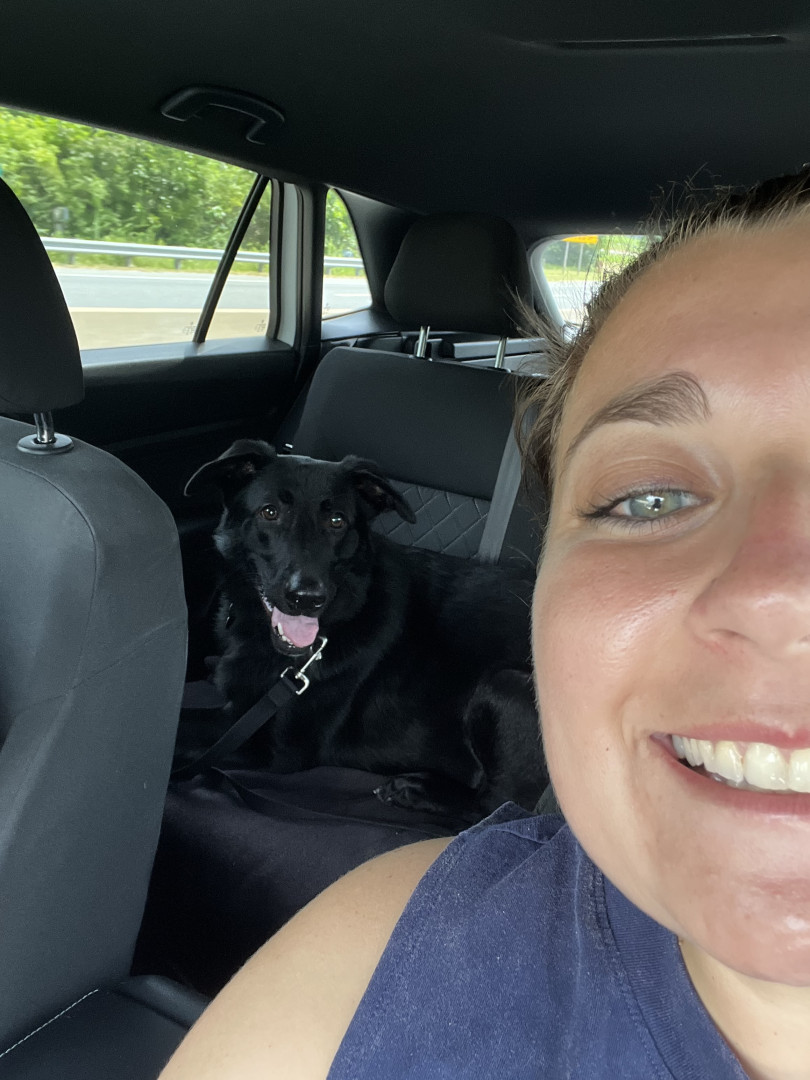Zeus | America's Favorite Pet