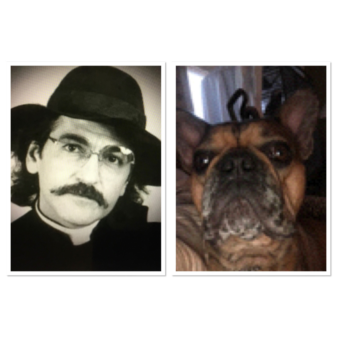 Guido | America's Favorite Pet