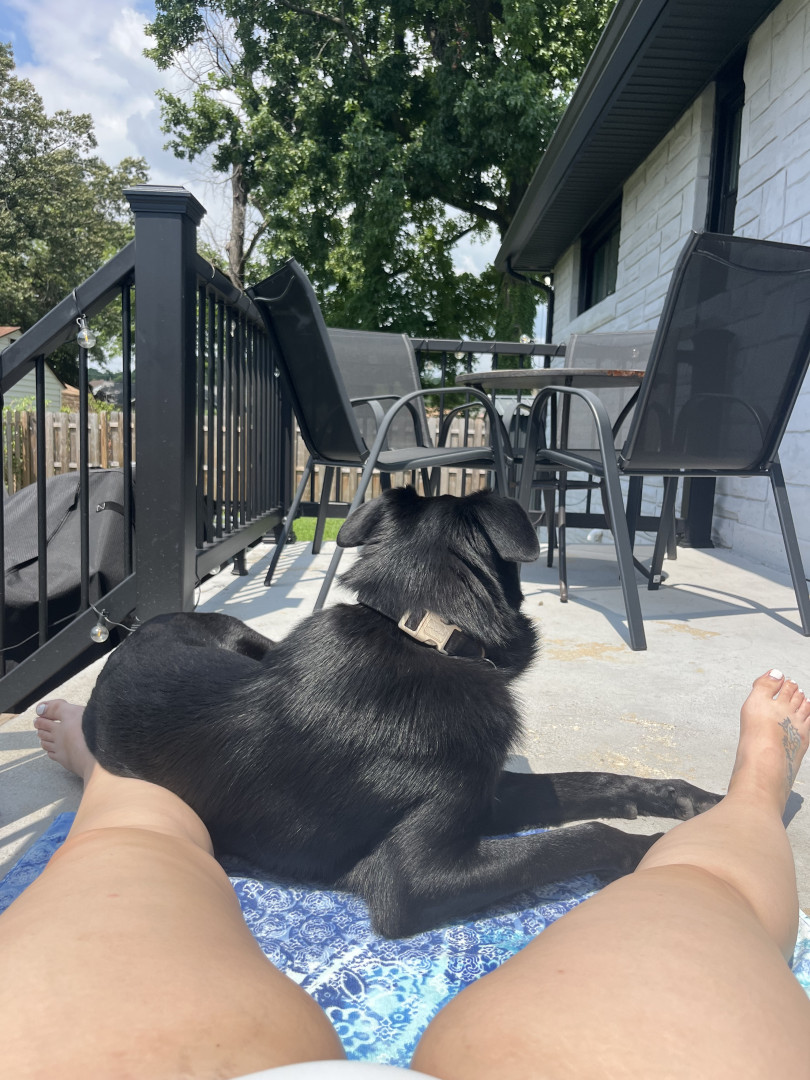 Zeus | America's Favorite Pet