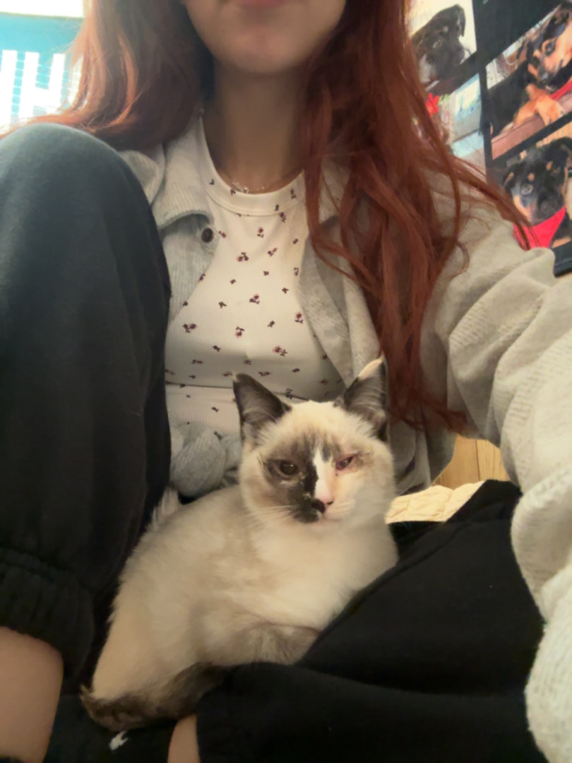 Cleopatra | America's Favorite Pet