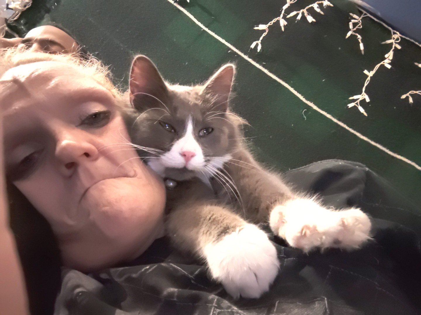 Cole | America's Favorite Pet