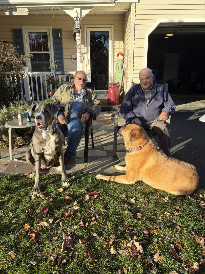 Bauer | America's Favorite Pet