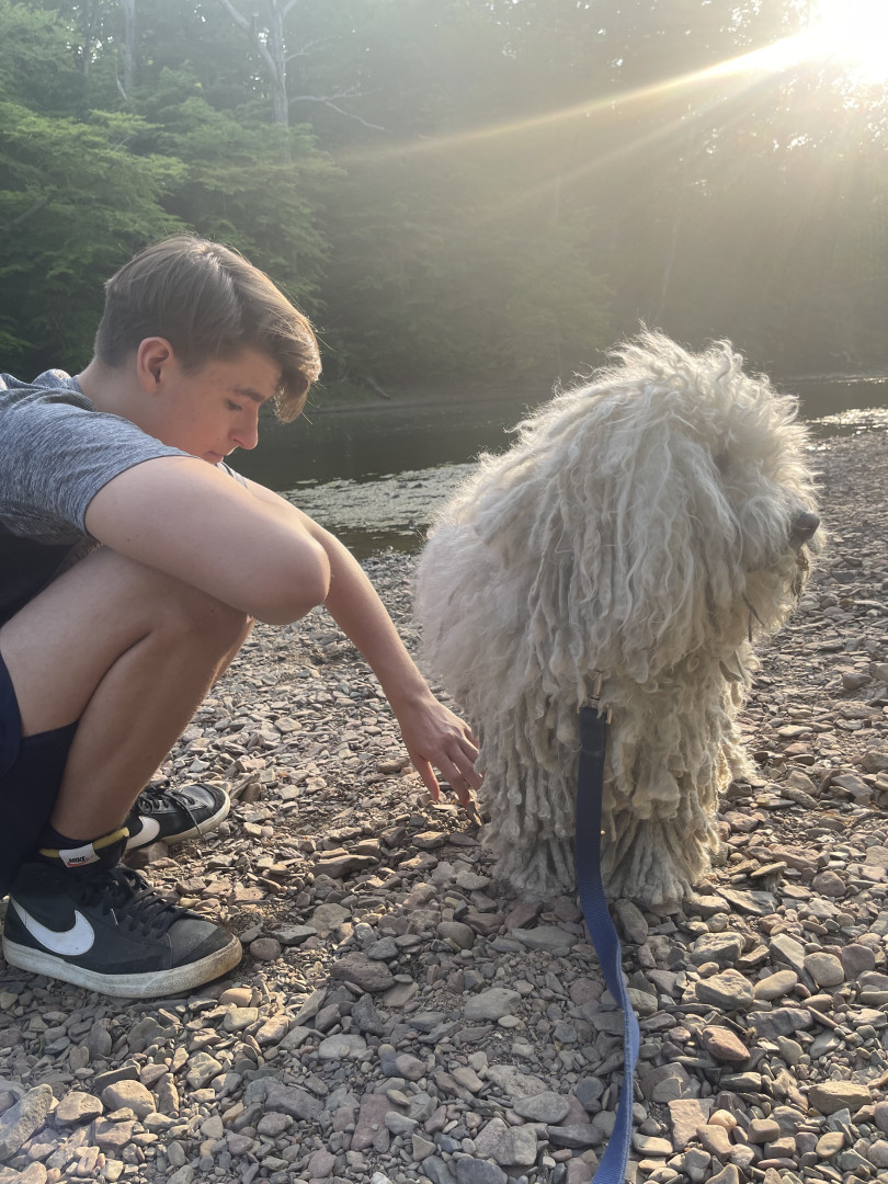 Ziggy | America's Favorite Pet