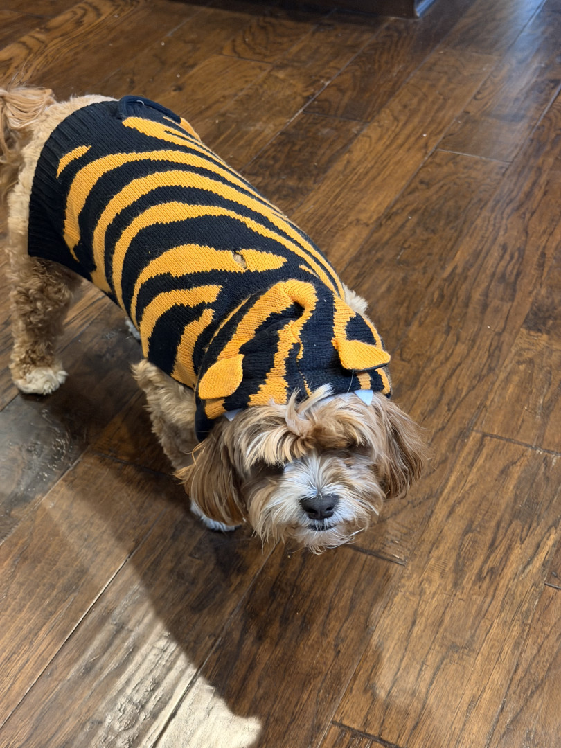 Hopper | America's Favorite Pet