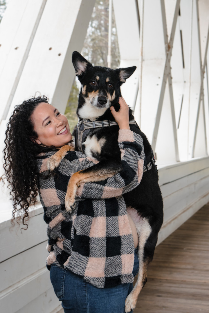 Simba | America's Favorite Pet