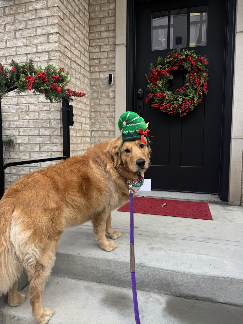 Oakley | America's Favorite Pet