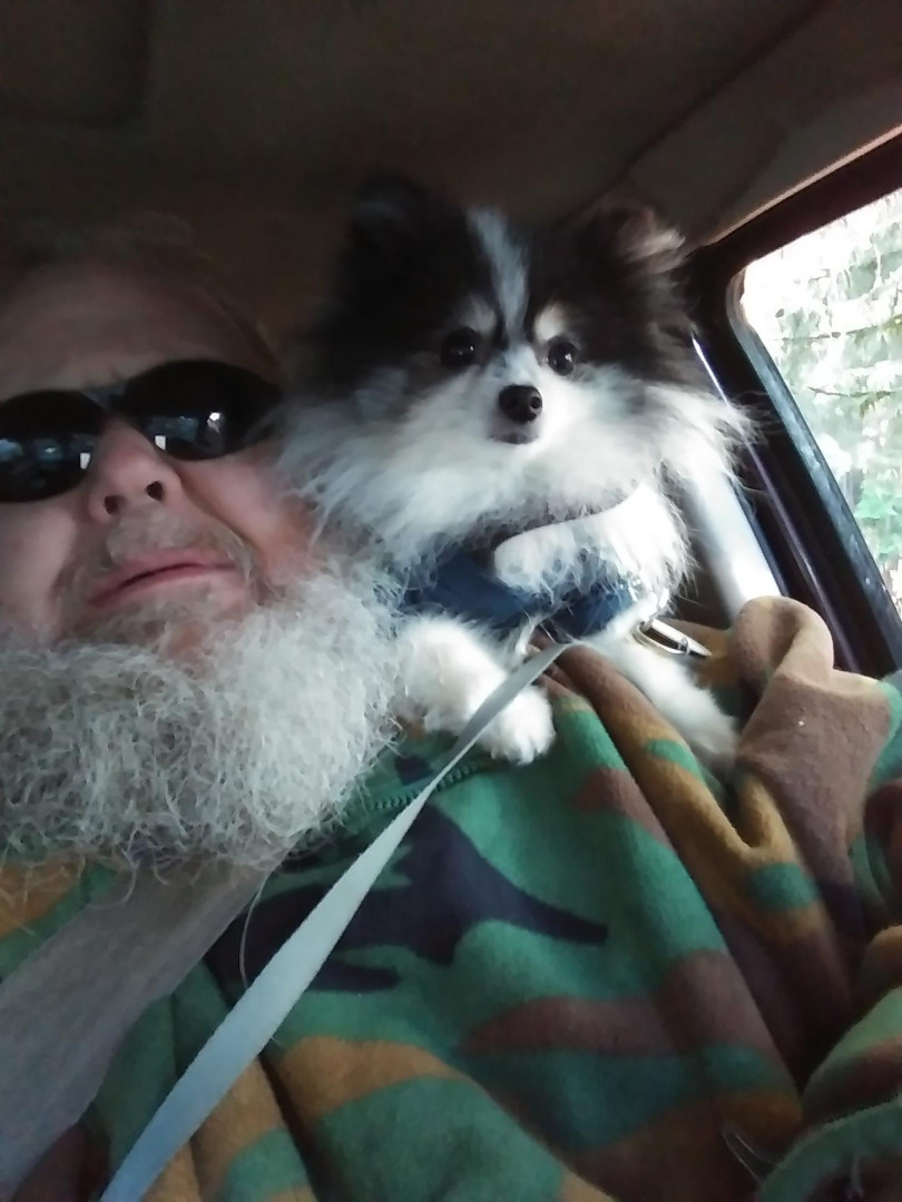 Monkey | America's Favorite Pet