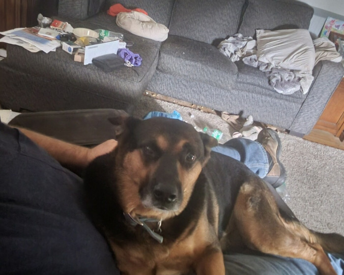 Tiko | America's Favorite Pet